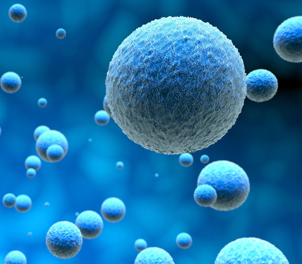 Why store umbilical cord blood stem cells