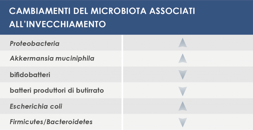 Microbiome, aging and inflammaging