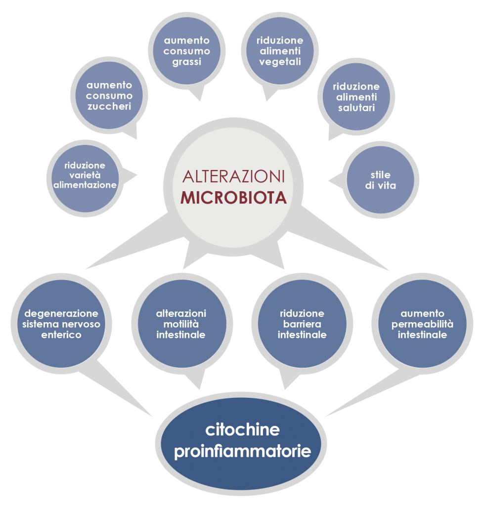 Microbiome, aging and inflammaging