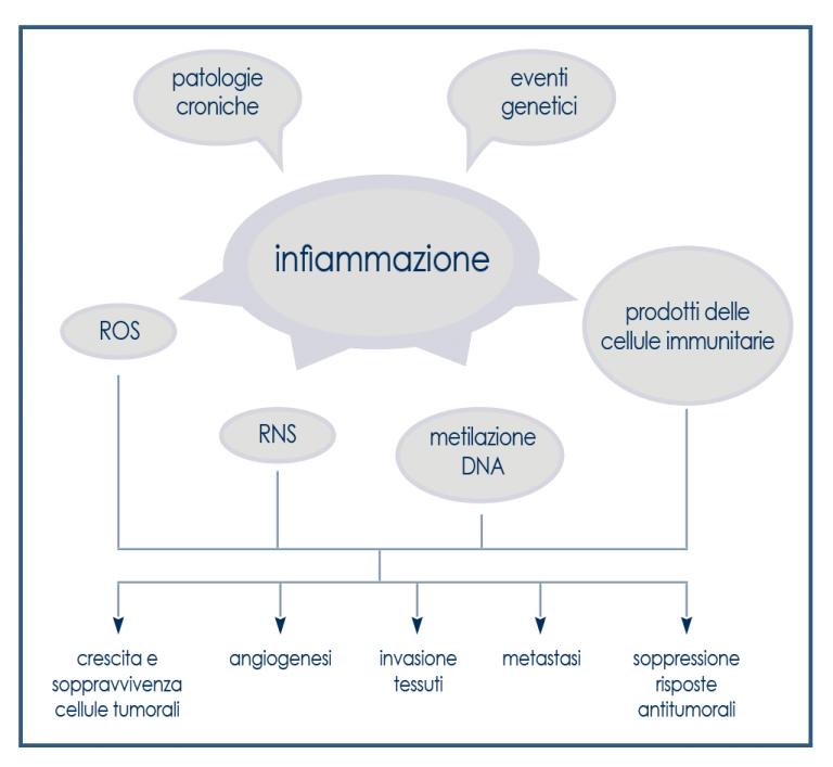 Infiammazione cronica e tumori