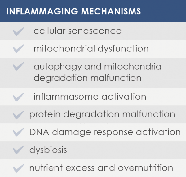 Inflammaging and gut microbiota