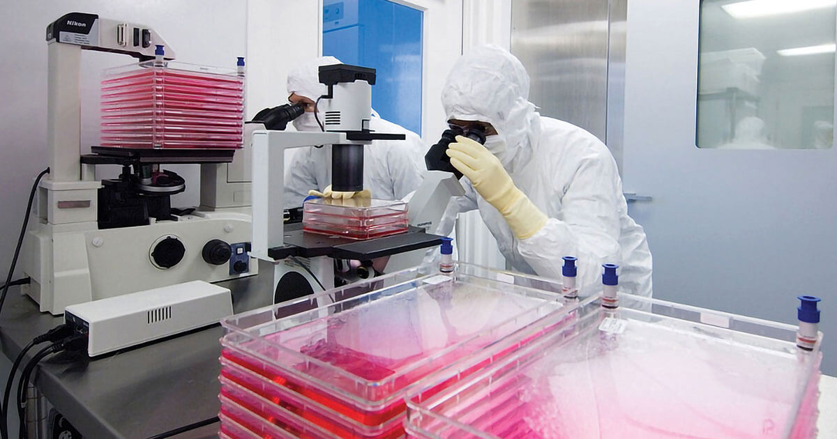 Expanded stem cells, a new study confirms clinical usefulness