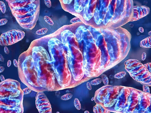 Microbalance - Bioscience Institute